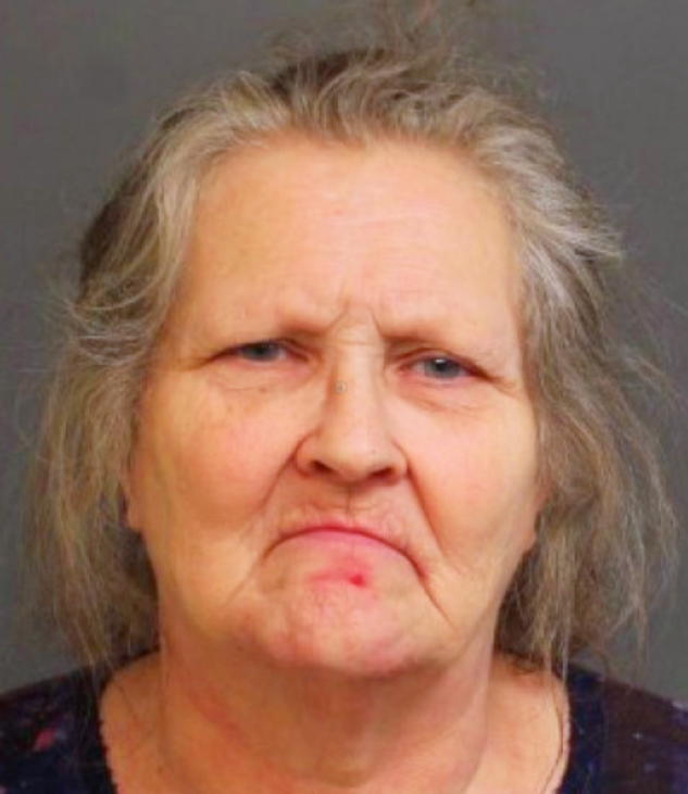 Renovo woman pleads guilty to prescription drug sales; sentenced to ...